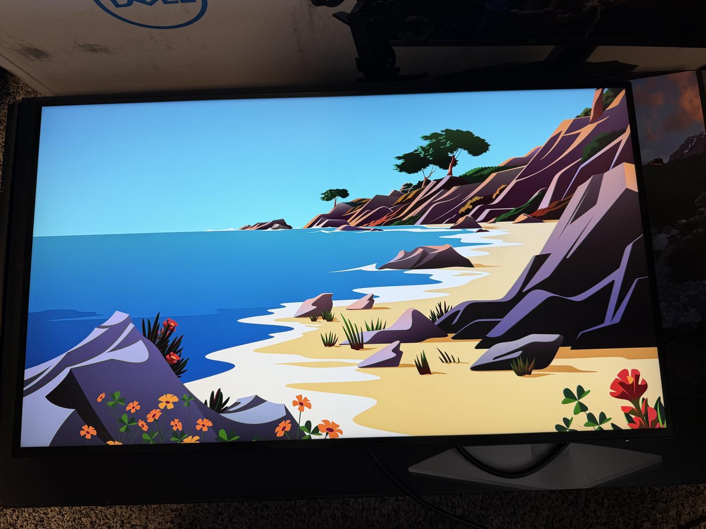 Dell Monitor - LAAY19248 - Swappa