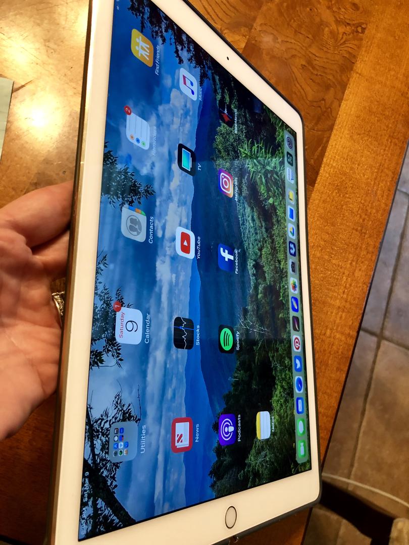 Apple iPad Pro 12.9" 1st Gen 2015 - Verizon, Gold, 128GB, A1652, 1st ...