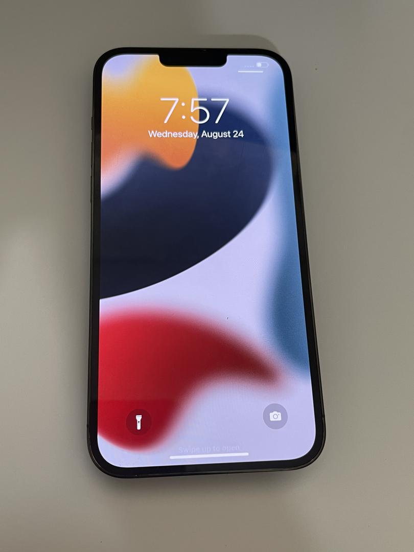 iPhone 13 Pro Max Colors - Pick the Best Color - Swappa