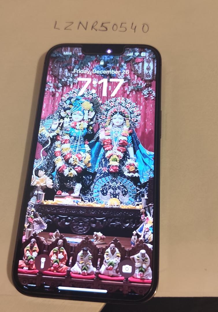 Apple iPhone 13 Pro - Unlocked, Graphite, 256GB, A2483 - LZNR50540 - Swappa