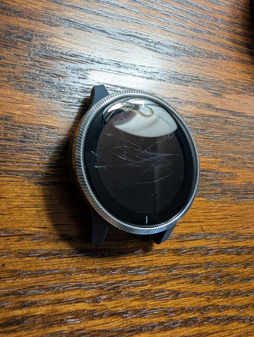 Garmin Venu - Silver - LZNV59791 - Swappa