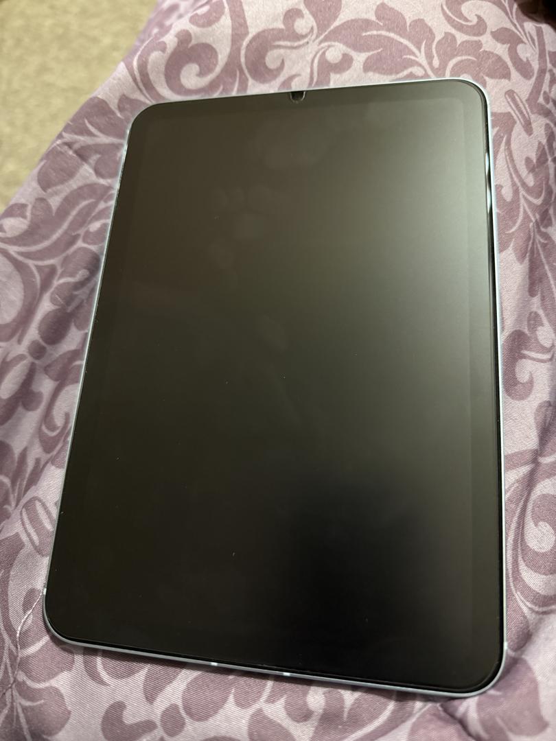 Apple iPad Mini 7th Gen - Unlocked, Blue, 128GB, A2995 - LZNX09178 - Swappa